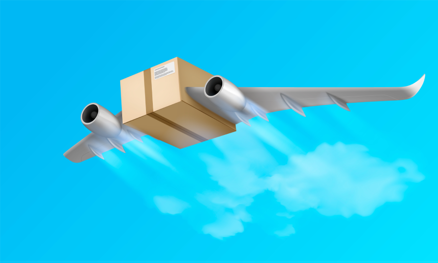 Bluedart Express Dubai